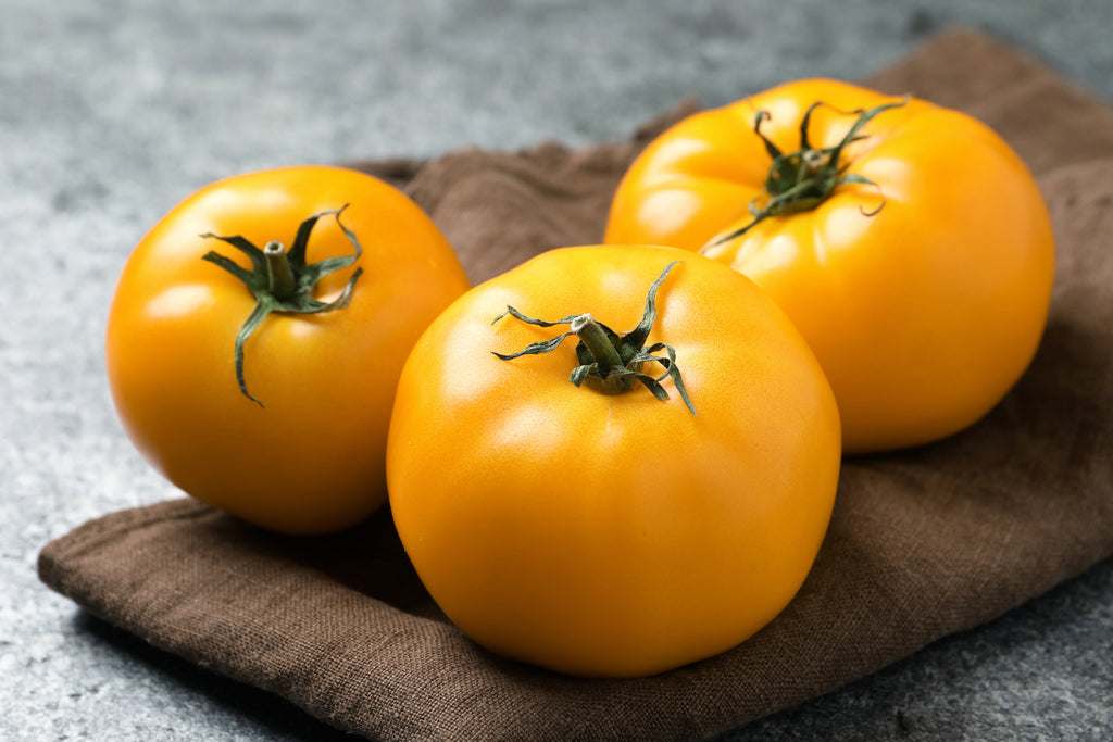Slicer/Beefsteak Tomato Seeds — Rohrer Seeds