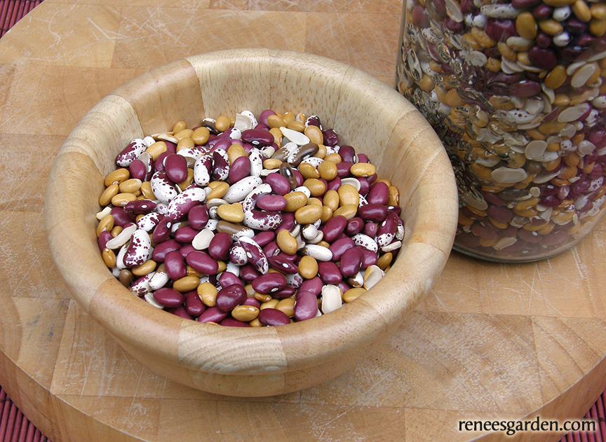Soup Mix Blend Bush Bean — Rohrer Seeds